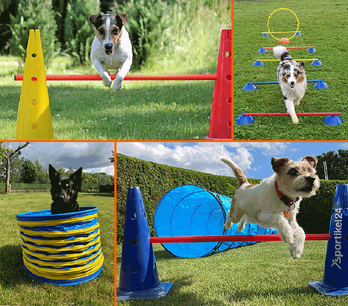 Cavaletti Training für Hunde